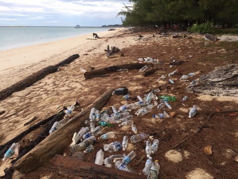 Plastic Neutral Certification - How Does it Work for Me? - Plastic ...