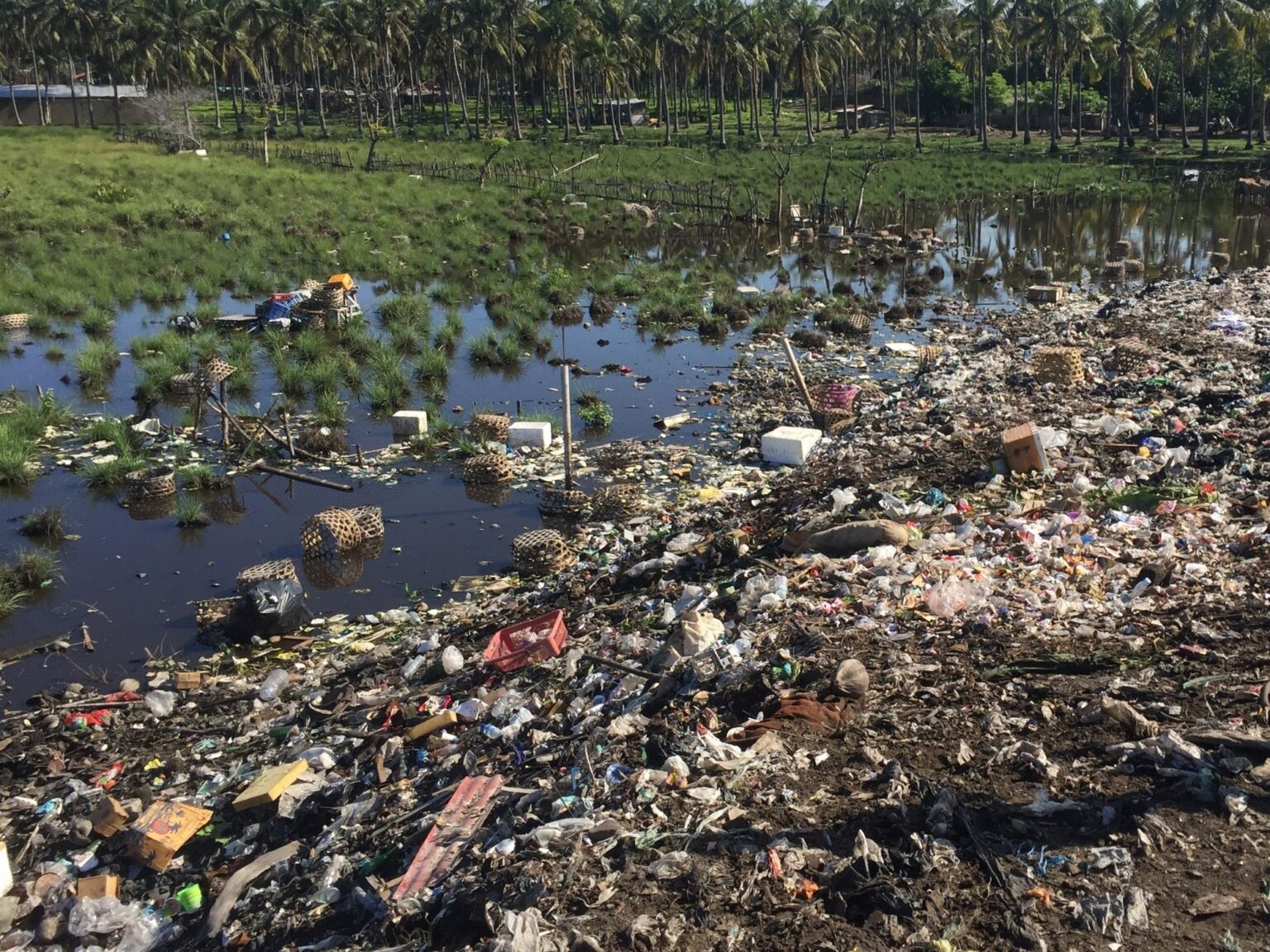 How Much Plastic Is Actually Recycled? Understanding the Imbalance ...