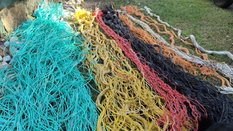 A Guide to Chemical Recycling - Plastic Collective