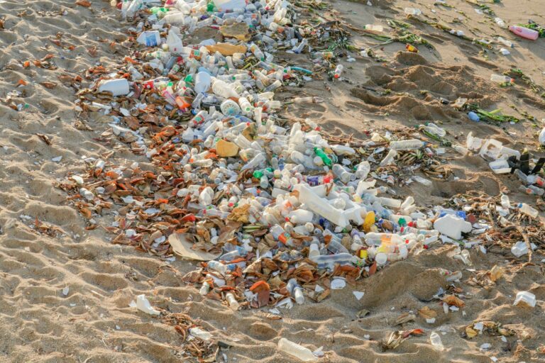 California SB 54 packaging EPR: November 15 reporting note and what’s next