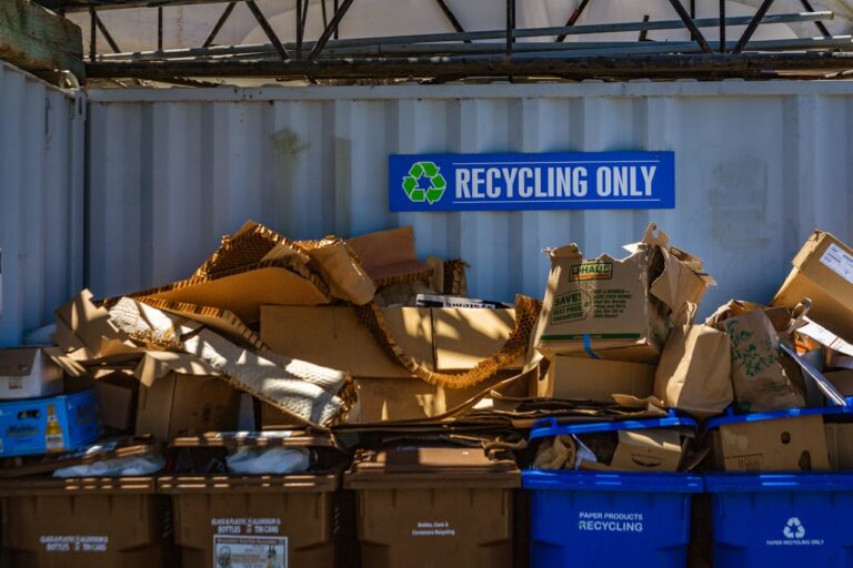 California SB 54 packaging EPR: November 15 reporting note and what’s next