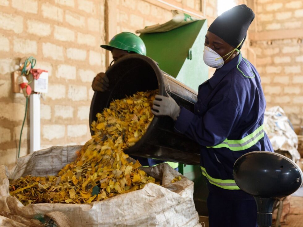 Plastic Credits vs Carbon Credits: A Clear Path to Environmental Impact ...