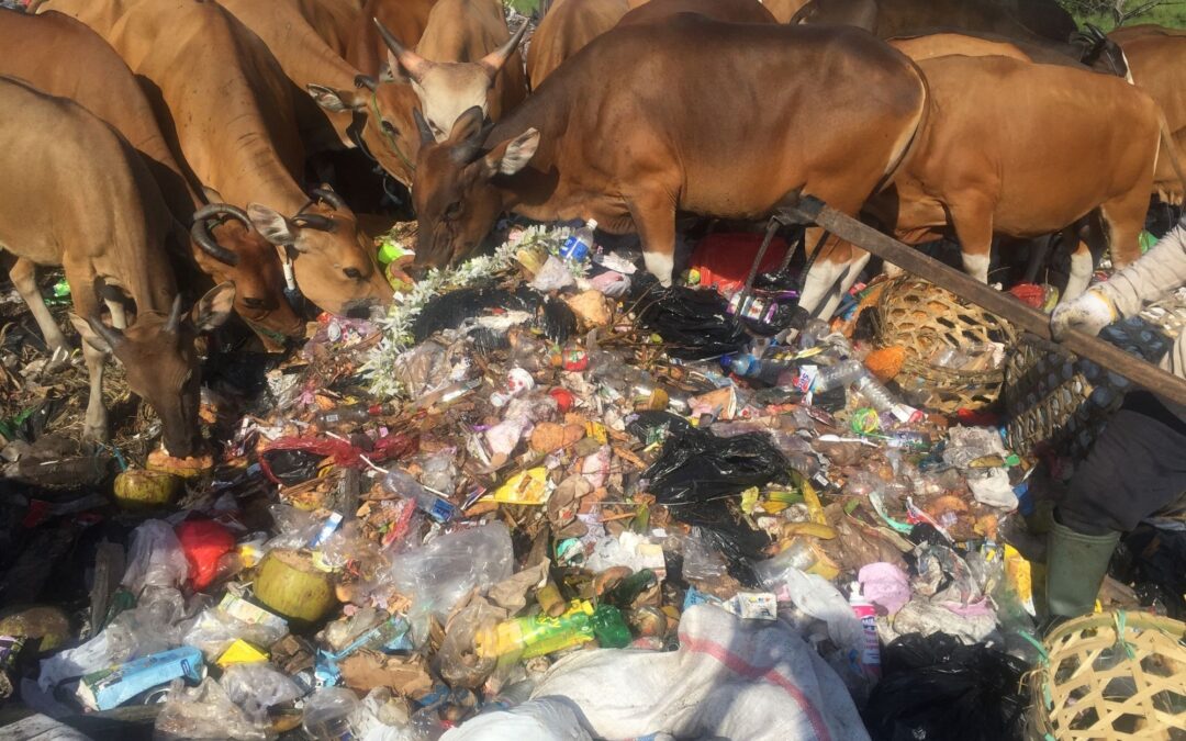 How Much Plastic Is Actually Recycled? Understanding the Imbalance ...