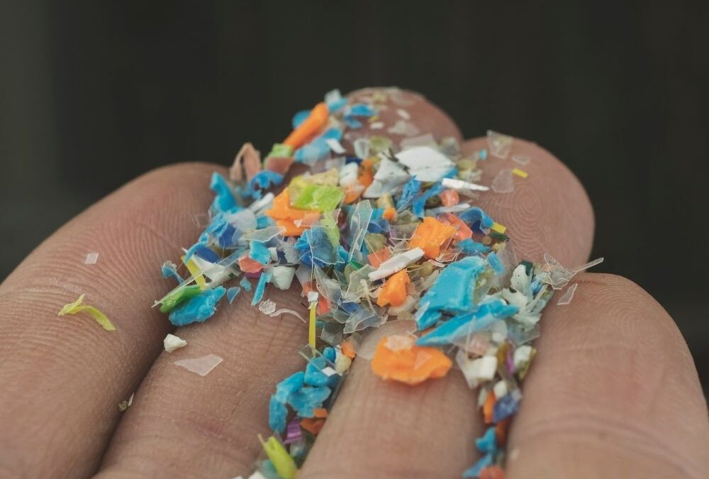 Microplastics and Human Health: The Invisible Threat Inside Us All - Plastic Collective