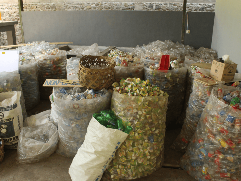 Microplastics and Human Health: The Invisible Threat Inside Us All ...